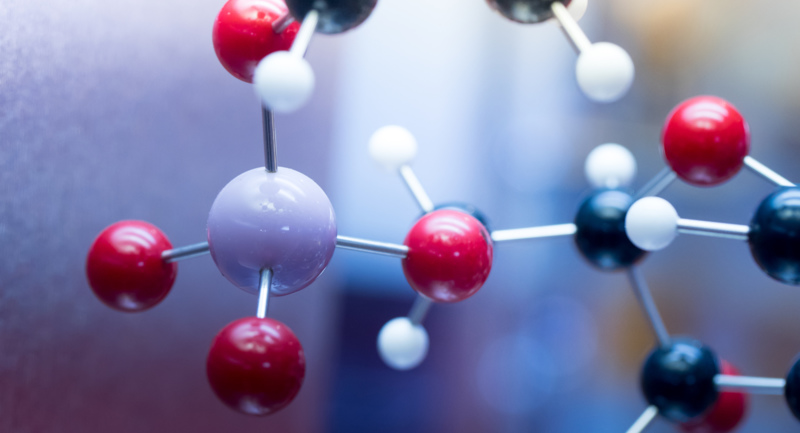 Folliculin: A Regulator of Transcription Through AMPK & mTOR Signaling