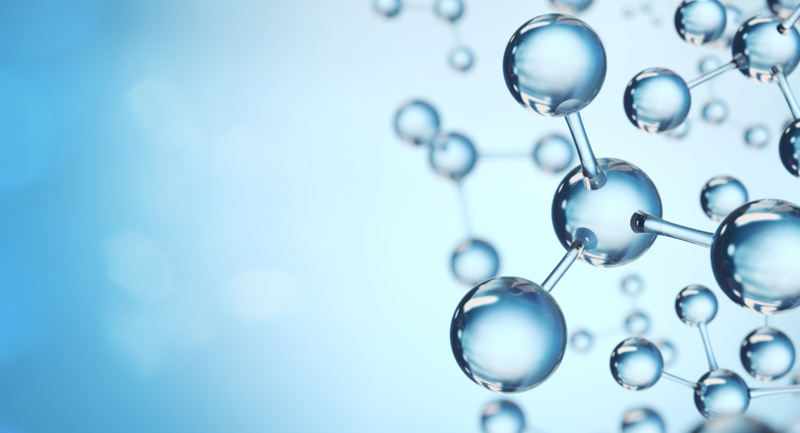 Exploring a molecular link between BHD and Tuberous Sclerosis